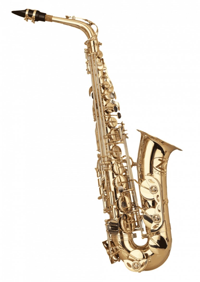 ZO Academy Alto Saxophone - ZO Instruments Australia